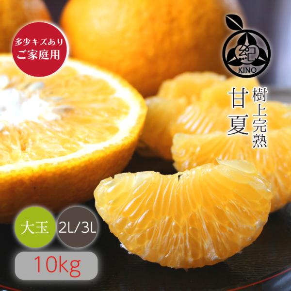《商品情報》　名称：木熟　甘夏　2L/3Lサイズ　ご家庭用　産地：国産（和歌山産）　内容量：１箱　10kg　・清々しい酸味と上品な甘味。　・手間暇かけた「樹上完熟」でジューシーなまま完熟！　・冷やして、この時季にピッタリの爽やかな果汁が存分...