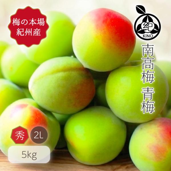 《商品情報》　名称：紀州南高梅　秀品２Lサイズ　産地：国産（和歌山産）　内容量：１箱　5kg　・薄皮・肉厚なブランド梅【南高梅】　・鮮度を重視し、入荷当日のフレッシュなうちに　　丁寧に手詰めし発送いたします。　・自家製梅酒・梅シロップ等アレ...