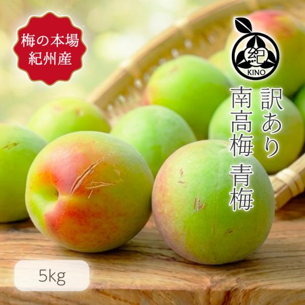 《商品情報》　名称：紀州南高梅　青梅　訳あり品　　　　２L/３Lいずれかのサイズ、またはサイズ混合　産地：国産（和歌山産）　内容量：１箱　５kg　・薄皮・肉厚なブランド梅【南高梅】　・鮮度を重視し、入荷当日のフレッシュなうちに　　丁寧に手詰...