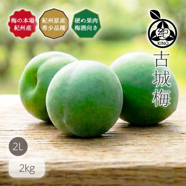 《商品情報》　名称：古城梅　２Lサイズ　産地：国産（和歌山産）　内容量：１箱　２kg　・青いダイヤモンドとも呼ばれる、　　梅酒用・梅シロップ用に人気の高い希少種です。　・鮮度を重視し、入荷当日のフレッシュなうちに　　丁寧に手詰めし発送いたし...
