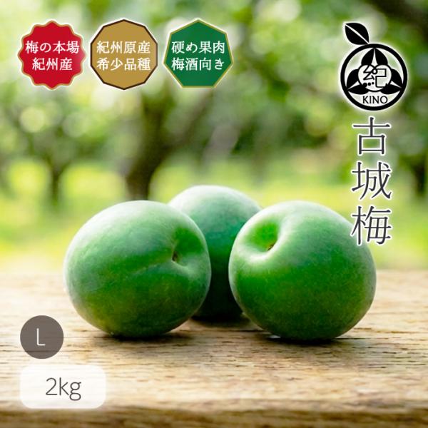 《商品情報》　名称：古城梅　Lサイズ　産地：国産（和歌山産）　内容量：１箱　２kg　・青いダイヤモンドとも呼ばれる、　　梅酒用・梅シロップ用に人気の高い希少種です。　・鮮度を重視し、入荷当日のフレッシュなうちに　　丁寧に手詰めし発送いたしま...