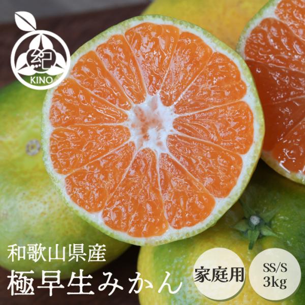 《商品情報》　名称：極早生温州みかん　産地：国産（和歌山県）　内容量：１箱　3kg　・さっぱりとした甘味で果汁がたっぷり。　・程より酸味で食べやすい。　・糖度が比較的高く、酸味も少ない。　・じょうのう（ふくろ）が薄い。　・ご家庭用選別のため...