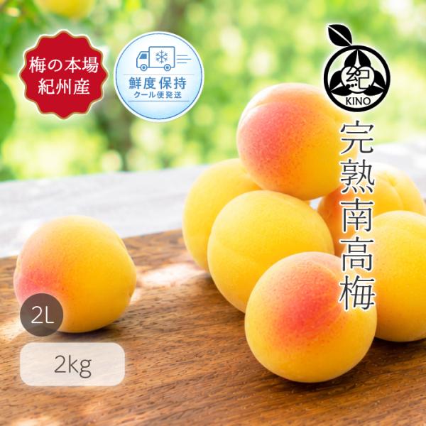 《商品情報》　名称：紀州南高梅　完熟梅　2Lサイズ　産地：国産（和歌山産）　内容量：１箱　2kg　・薄皮・肉厚なブランド梅【南高梅】　・丁寧に手詰めし発送いたします。　・外傷等がほとんどないものから、栽培過程で生じた　　多少のキズがある梅が...