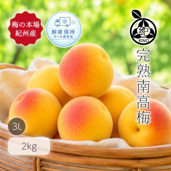 《商品情報》　名称：紀州南高梅　完熟梅　3Lサイズ　産地：国産（和歌山産）　内容量：１箱　2kg　・薄皮・肉厚なブランド梅【南高梅】　・丁寧に手詰めし発送いたします。　・外傷等がほとんどないものから、栽培過程で生じた　　多少のキズがある梅が...