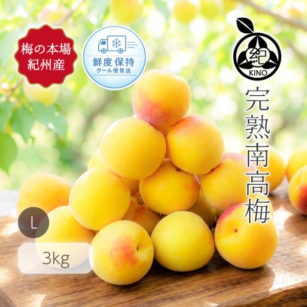 《商品情報》　名称：紀州南高梅　完熟梅　Lサイズ　産地：国産（和歌山産）　内容量：１箱　3kg　・薄皮・肉厚なブランド梅【南高梅】　・丁寧に手詰めし発送いたします。　・外傷等がほとんどないものから、栽培過程で生じた　　多少のキズがある梅が一...