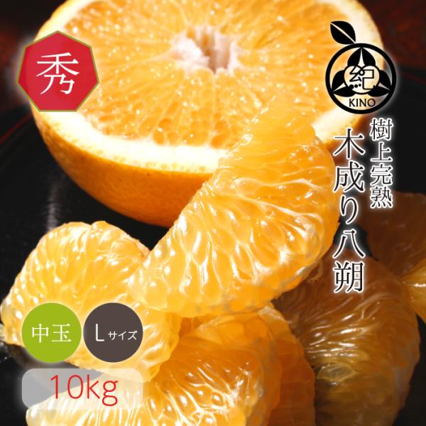 《商品情報》　名称：木成り八朔　秀品Lサイズ　産地：国産（和歌山産）　内容量：１箱　10kg　・樹上で成らせたまま完熟するので、糖度をより高め、まろやかな味わいに。　・樹上完熟は貯蔵で完熟させるより、果汁を保つのでジューシー。　　《保存方法...