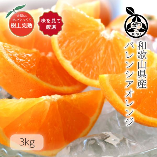 　名称：国産バレンシアオレンジ ご家庭用 2L/3Lサイズ　産地：国産（和歌山産）　内容量：１箱　3kg　・2Lまたは3Lいずれかのサイズ（サイズはお選びいただけません）　・秀品と擦れキズや色むら等が含まれるご家庭用選別の混合品　・夏にピッ...