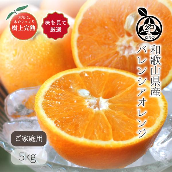 　名称：国産バレンシアオレンジ 訳あり L〜3Lサイズ　産地：国産（和歌山産）　内容量：１箱　5kg　・L~3Lいずれかのサイズ またはサイズ混合　・栽培過程で生じた、擦れキズや色むら等がある訳あり品です。　・夏にピッタリの爽やかオレンジ紀...