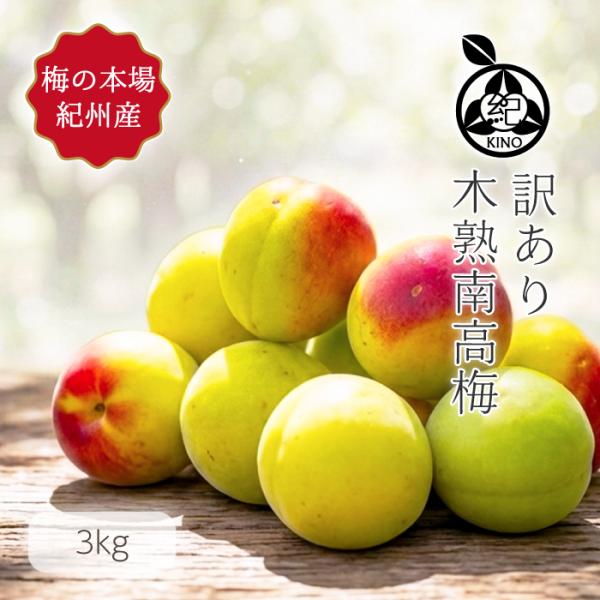 《商品情報》　名称：紀州南高梅　中熟梅　訳あり品　産地：国産（和歌山産）　内容量：１箱　2kg　・薄皮・肉厚なブランド梅【南高梅】　・フレッシュな梅を丁寧に手詰めし発送いたします。　・熟度や色味にバラつきがある場合があります。　・雹被害で生...