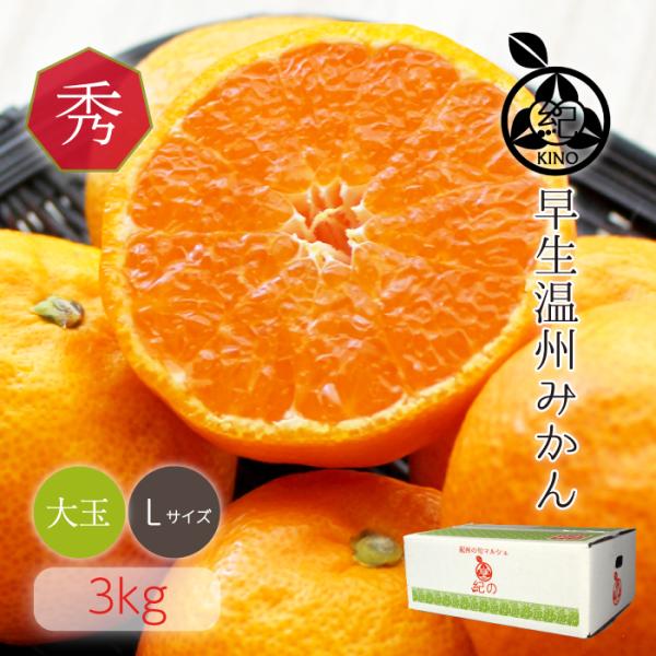 《商品情報》　名称：早生温州みかん　秀品Lサイズ　　　産地：国産（和歌山県）　内容量：１箱　3kg　・Lサイズは大玉で皮がむきやすく食べやすい。　・見栄えが良いのでギフトにも。　・甘みと程よい酸味のバランスが絶妙。　・和歌山県、早生みかんの...