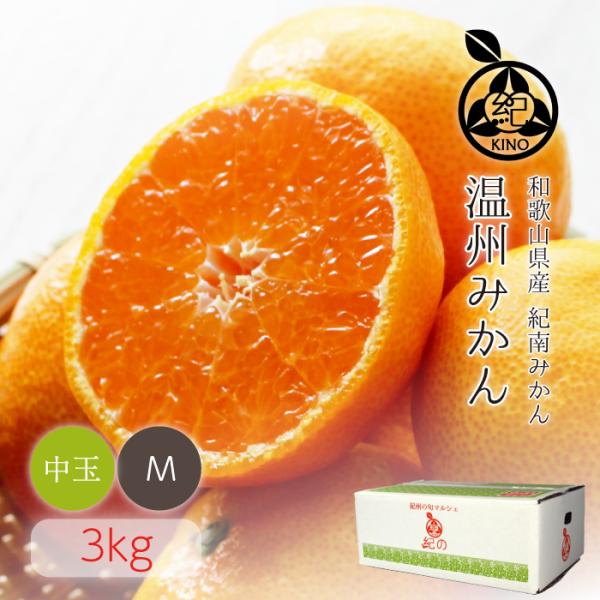 《《商品情報》　名称：早生温州みかん　ご家庭用　Mサイズ　産地：国産（和歌山県）　内容量：１箱　3kg　・和歌山みかんの代表格。　・朝の市場で買い付けた新鮮なみかん。　・果皮にキズ等がある訳あり品。　　ご家庭用におすすめです。　《保存方法》...