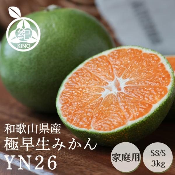 《商品情報》　名称：極早生温州みかん　YN26　ご家庭用　　　　SS・Sのいずれかのサイズ、またはサイズ混合　産地：国産（和歌山県）　内容量：１箱　3kg　・和歌山生まれの期待の新品種、極早生みかんYN26。　・濃厚な甘味と程よい酸味の絶妙...