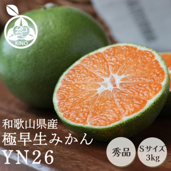 《商品情報》　名称：極早生温州みかん　YN26【秀品Sサイズ】　産地：国産（和歌山県）　内容量：１箱　3kg　・和歌山生まれの期待の新品種、極早生みかんYN26。　・濃厚な甘味と程よい酸味の絶妙なバランス。　・青い見た目からは想像できない味...