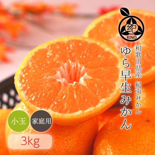 《商品情報》　名称：ゆら早生みかん　ご家庭用　SS/Sサイズ　産地：国産（和歌山県）　内容量：１箱　3kg　　・極早生の中でも最高峰の味。　・濃厚な甘味で果汁もたっぷり。　・程よい酸味で食べやすい。　・和歌山県の紀南みかん。　・果皮に栽培過...