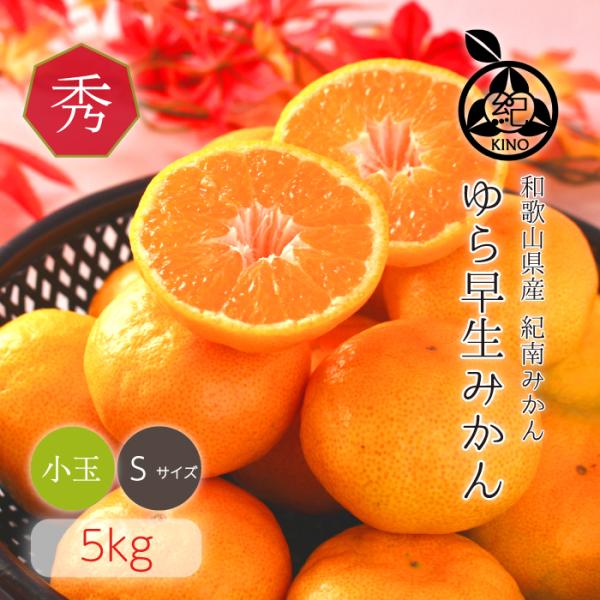 《商品情報》　名称：ゆら早生みかん　秀品　Sサイズ　産地：国産（和歌山県）　内容量：１箱　5kg　　・Sサイズは若干小玉ですが、甘酸のバランスが絶妙です。　・極早生の中でも最高峰の味。　・濃厚な甘味で果汁もたっぷり。　・程よい酸味で食べやす...