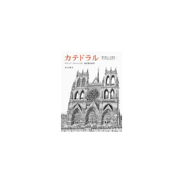 著者：マコーレイ，デビッド【作】〈Ｍａｃａｕｌａｙ，Ｄａｖｉｄ〉/飯田 喜四郎【訳】出版社：岩波書店