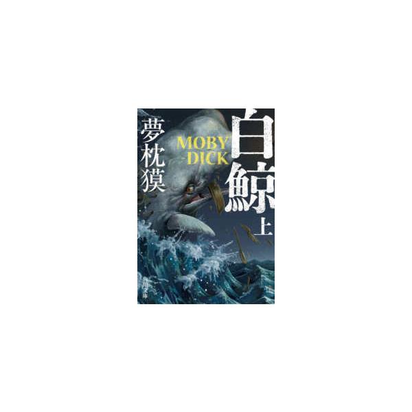 【発売日：2024年03月20日】著者：夢枕 獏【著】出版社：ＫＡＤＯＫＡＷＡ