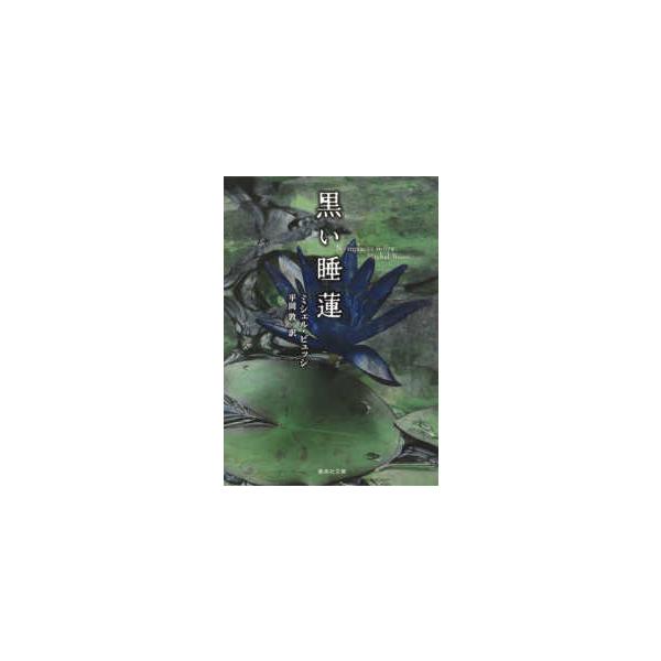 【発売日：2017年10月20日】著者：ビュッシ，ミシェル【著】〈Ｂｕｓｓｉ，Ｍｉｃｈｅｌ〉/平岡 敦【訳】出版社：集英社