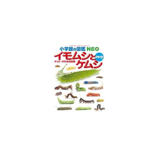 【発売日：2018年06月01日】出版社：小学館