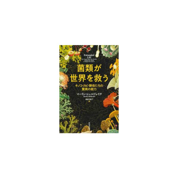 【発売日：2022年01月22日】著者：シェルドレイク，マーリン【著】〈Ｓｈｅｌｄｒａｋｅ，Ｍｅｒｌｉｎ〉/鍛原 多惠子【訳】出版社：河出書房新社