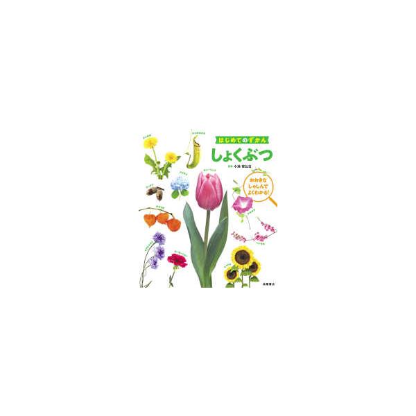 【発売日：2023年03月29日】著者：小池 安比古【監修】出版社：高橋書店