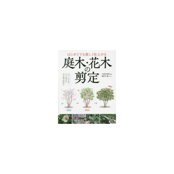 【発売日：2020年03月12日】著者：川原田 邦彦【監修】/磯村 仁穂【イラスト】出版社：西東社