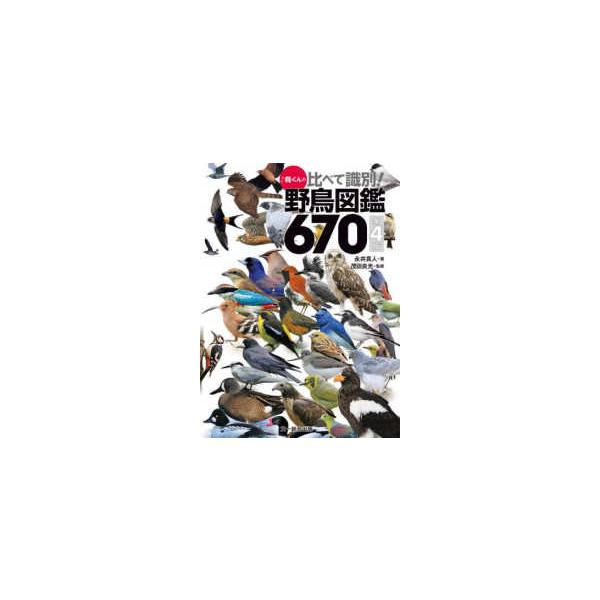 【発売日：2023年02月16日】著者：永井 真人【著】/茂田 良光【監修】出版社：文一総合出版