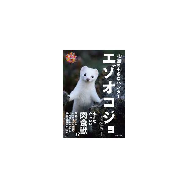 【発売日：2026年10月09日】著者：佐藤圭出版社：文一総合出版