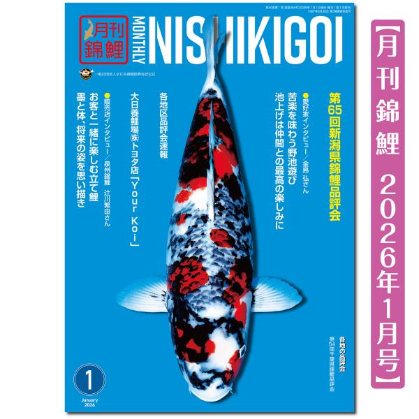 「大会」009　第65回新潟県錦鯉品評会「読みもの」036　愛好家インタビュー／金島 弘さん　      苦楽を味わう野池遊び  池上げは仲間との最高の楽しみに060　販売店インタビュー／泉州錦鯉　      お客と一緒に楽しむ立て鯉  墨...
