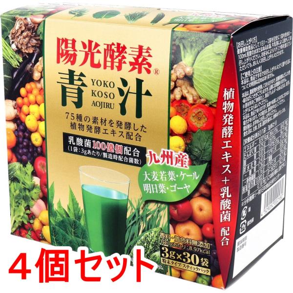 4個セットの販売です。75種の素材を発酵した植物発酵エキス配合青汁！！4種類の九州産野菜(大麦若葉・ケール・明日葉・ゴーヤ)と植物発酵エキス、乳酸菌を配合した青汁です。●乳酸菌100億個配合。(1袋：3gあたり／製造時配合菌数)●香料・着色...