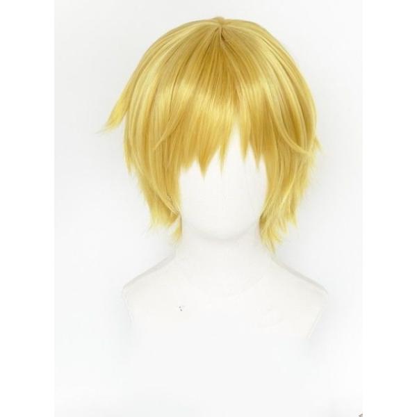 ■色：ゴールド■耐熱：約180度【商品特徴】【同梱内容】：ウィッグ×1　専用ネット×1【ウィッグサイズ】：前髪：つむじから約18CM,後ろ髪:つむじから約30CM。頭周り：アジャスター付きなので、個々の頭の大きさに合わせて段階調節することが...