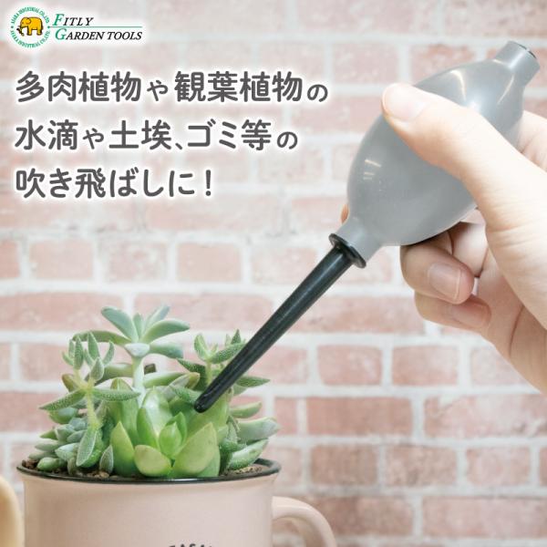 ＜用途＞・多肉植物や観葉植物のお手入れに！・水滴や土埃、ゴミ等の吹き飛ばしに最適です。＜特長＞・女性にも握りやすいコンパクトサイズ。・植物を傷つけずに水滴等を吹き飛ばせます。＜多肉植物を長く楽しむために＞・水やりや雨のあと、多肉植物に水滴が...