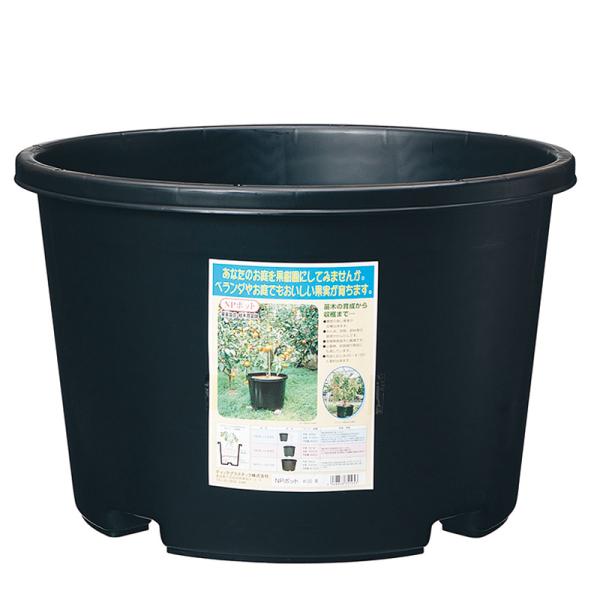 ＜商品特徴＞・果樹や植木の苗木育成、収穫に優れた大型ポットです。・果樹、植木の育生、トマト、ナス等の家庭栽培、大型植木鉢としての花の観賞などに。・21号鉢相当(大型果樹・苗木の生産栽培)の大きさです。強度の高いポットなので丈夫で長持ち。・か...