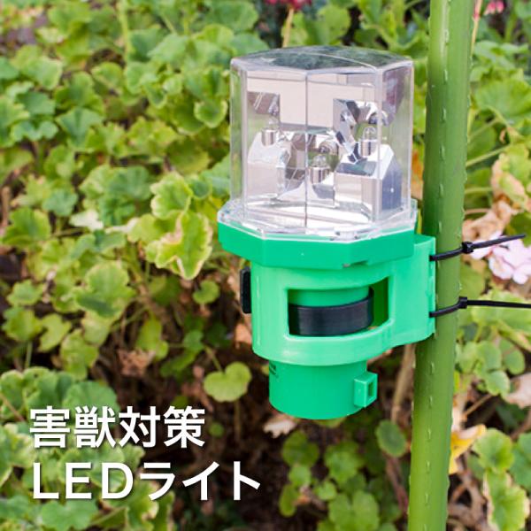 夜間は自動で点灯。獣害ライト。商品特徴・赤と青のLED点滅で獣を寄せ付けない。・夜間は自動で点灯。・超高輝度発光ダイオード(赤×2、青×1個)。・電池交換は出来ません。
