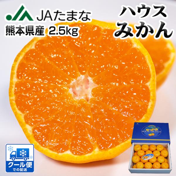 【超希少・夏限定】贅沢みかんJAたまな　ハウスみかん（温室栽培みかん）7月上旬〜7月下旬までの期間限定！たった一ヶ月間しか収穫されないとっても希少な夏に食べられるみかんです。JAたまな管内でハウスみかんを育てているのは、わずか「３件」のみ生...
