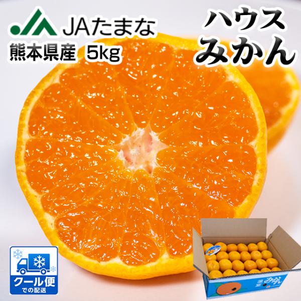 【発売日：2024年06月25日】【超希少・夏限定】贅沢みかんJAたまな　ハウスみかん（温室栽培みかん）7月上旬〜7月下旬までの期間限定！たった一ヶ月間しか収穫されないとっても希少な夏に食べられるみかんです。JAたまな管内でハウスみかんを育...