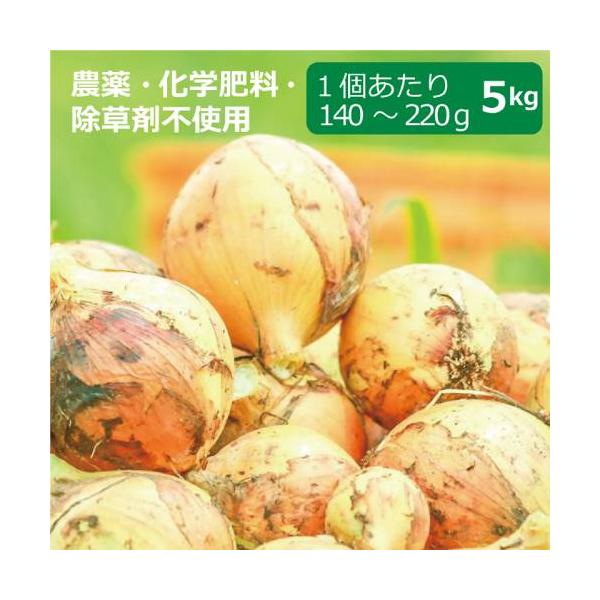生で食べても美味しい玉ねぎにドレッシングで食べるとさらにうまい
