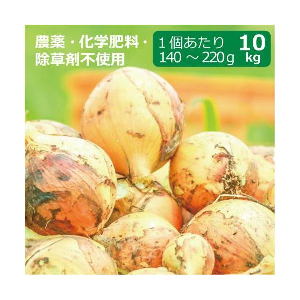 生で食べても美味しい玉ねぎにドレッシングで食べるとさらにうまい
