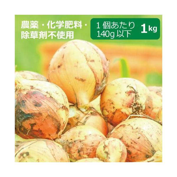 生で食べても美味しい玉ねぎにドレッシングで食べるとさらにうまい