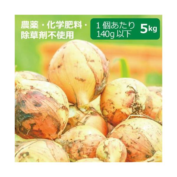 生で食べても美味しい玉ねぎにドレッシングで食べるとさらにうまい