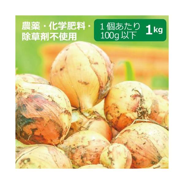 生で食べても美味しい玉ねぎにドレッシングで食べるとさらにうまい