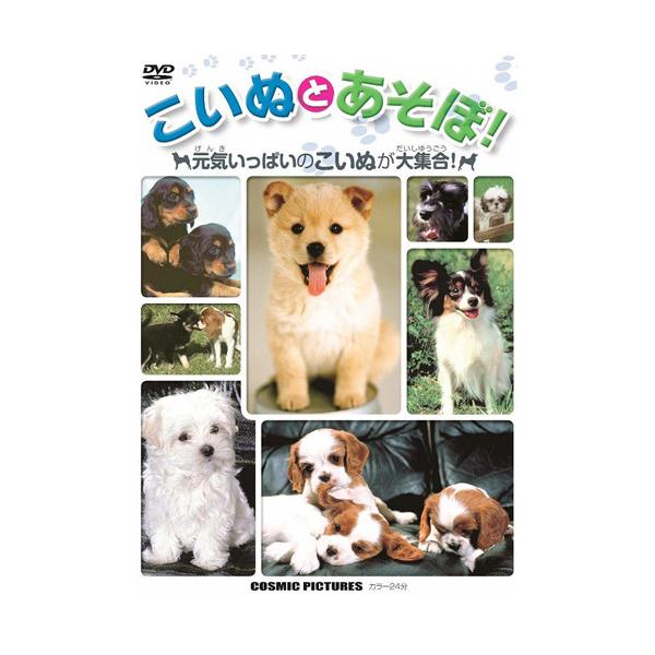 ●トールサイズケース+シュリンク包装●重量:105g　●パッケージサイズ:W135×H189×D13mm