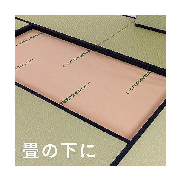 ※メーカーより直送いたします。２〜３日発送予定です。■商品名：畳下敷用防虫・防カビシート■送料：全国一律送料無料■納期：ご注文確定後約2-4営業日■サイズ：約197×106cm・厚み0.15mm　■生産地：日本製■素材：クラフト紙 ※畳の下...