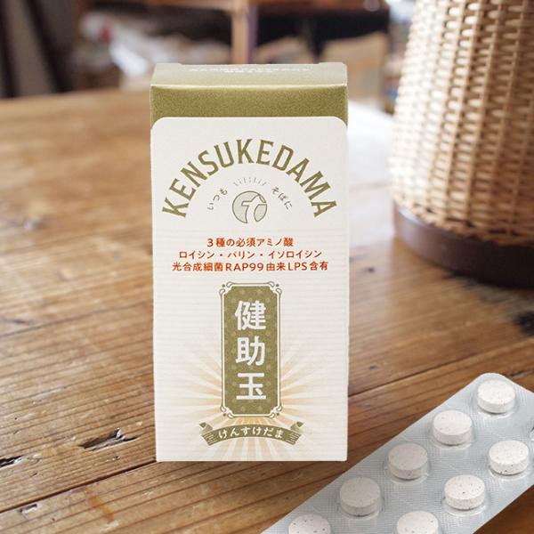 健助玉 60粒けんすけだま 健康食品 BCAA サプリメント 光合成細菌 アミノ酸 乳酸菌 健康 美容健康を内側からサポートする成分を配合したサプリメントです。太古より地球を支えてきた有益菌・光合成細菌RAP99や、体に欠かせない3種の必須...