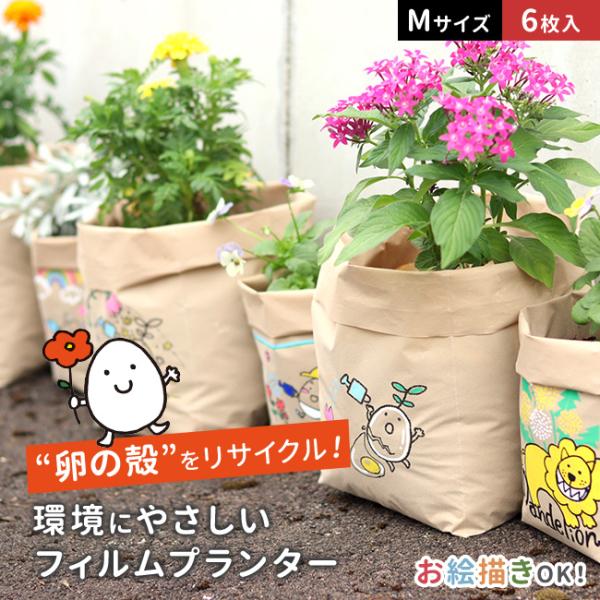 teine home フィルムプランター たまはな Mサイズ 6枚セットプランター おしゃれ 屋外 ガーデニング かわいい 軽量 菜園プランター 野菜 栽培 袋型プランター 園芸 ベランダ 室内 観葉 植物 目隠し プランターカバー 多肉植...