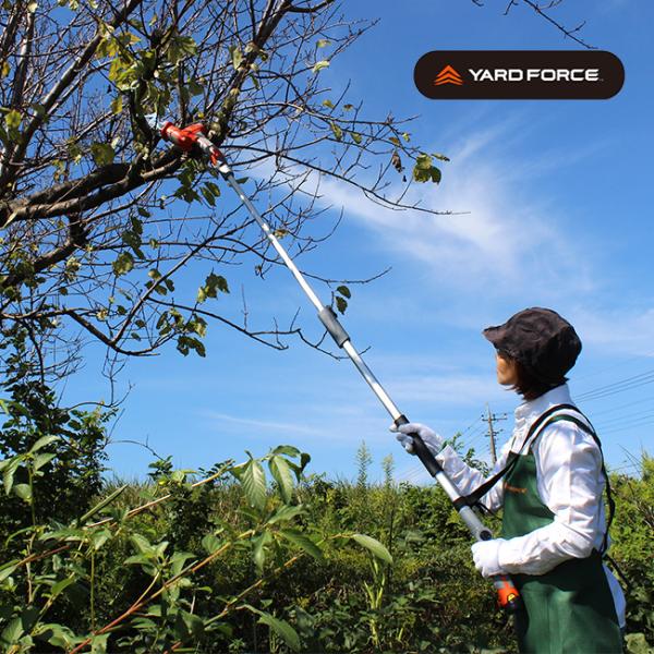 軽い、長い、切りやすい電動のこぎり。高枝切りから手元の枝切りまでこれ1台でできるコードレス電動のこぎりです。【日本製か海外製か】中国製（企画：アメリカ）【セット内容】本体、刃、延長ポール、バッテリー、充電アダプター【サイズ（約）】高枝時：幅...