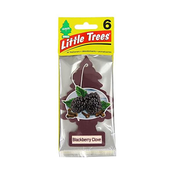 Brown/-/-・PackageQuantity:6・パッケージ個数:6・世界中で大人気！エアフレッシュナーの定番Little Trees(リトルツリー) 人気のひみつ (1) 種類が豊富！ 選べる香り約40種類以上 色んな香りに挑戦でき...