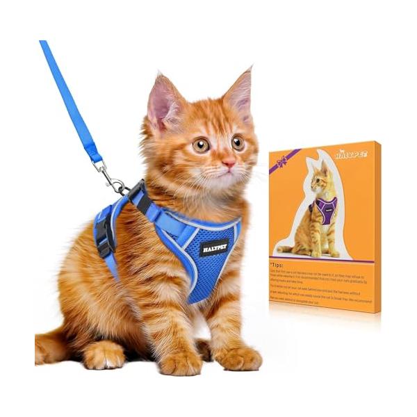 ブルー/XS/-・Color:ブルーSize:XS・??{違った体験！ダブルロックタイプ}?{ダブル調整機能}??本タイプの製品は、固定する部分が肩回り・胴回りの2カ所に分かれており、それぞれ別に調整できるのが特徴。どちらか一方が外れてしま...