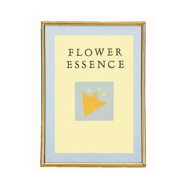 ●置き場所を選ばない、ベーシックなデザイン。●[素材] ブラス●人が集まる、楽しい語らしいがはじまる。リビングで過ごすひとときをより楽しく演出するハイセンスなフォトフレーム。●写真が際立つシンプルフレーム。