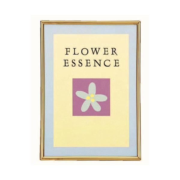 ●置き場所を選ばない、ベーシックなデザイン。●[素材] ブラス●人が集まる、楽しい語らしいがはじまる。リビングで過ごすひとときをより楽しく演出するハイセンスなフォトフレーム。●写真が際立つシンプルフレーム。